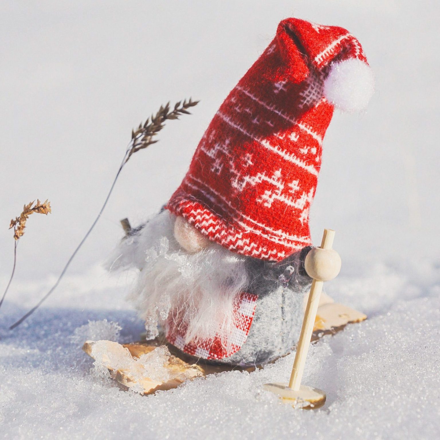 OEC OFC | National Ski Patrol | Central Division National Ski Patrol